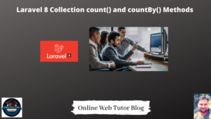 Laravel 8 Collection count() and countBy() Methods